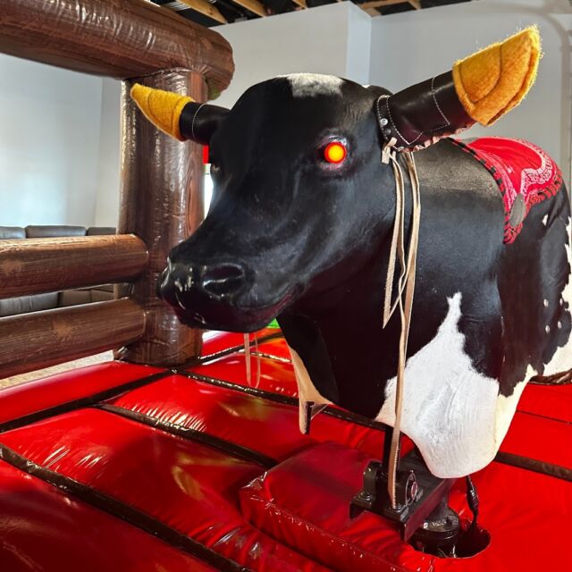 Howdy Beer | The Friendliest Beer in America